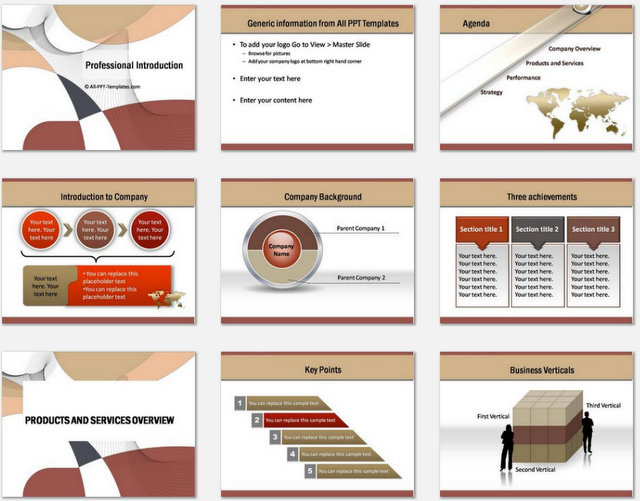 PowerPoint Professional Introduction Template PowerPoint Professional Introduction Template